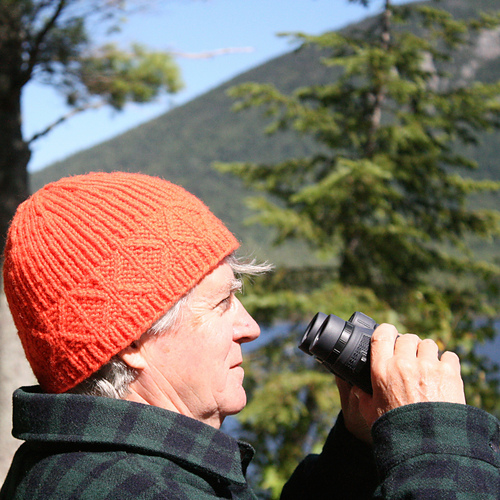 Ravelry: Hunting Season Hat pattern by Knitwise Design