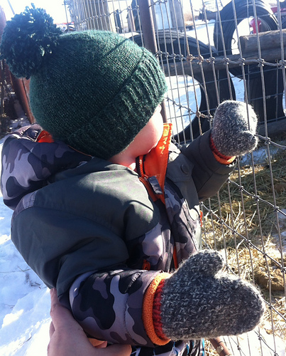 Ravelry: Snow Day Mittens pattern by Melissa Metzbower