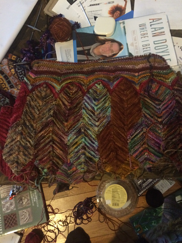 Ravelry: Leaf Motif Skirt pattern by Kathy Merrick and Selma Kaplan