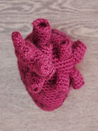 Ravelry: Crochet Anatomical Human Heart pattern by Kyla Raay