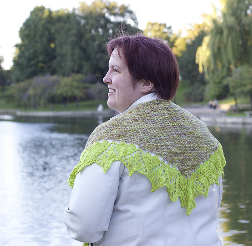 Ravelry: Lichenometry pattern by Allison Janocha