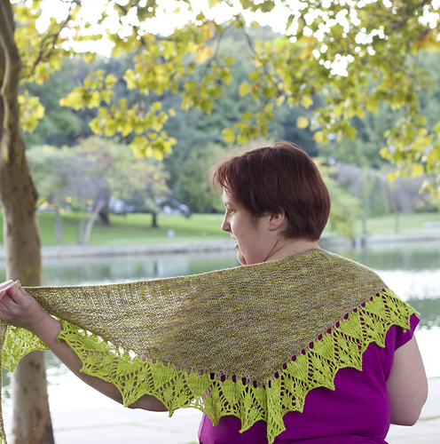 Ravelry: Lichenometry pattern by Allison Janocha