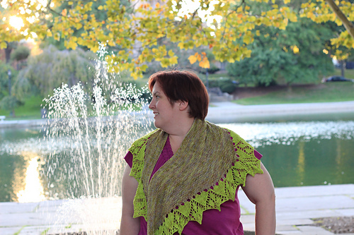 Ravelry: Lichenometry pattern by Allison Janocha