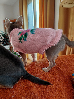 Ravelry: Pull Rosemary pour petit chien pattern by LSB