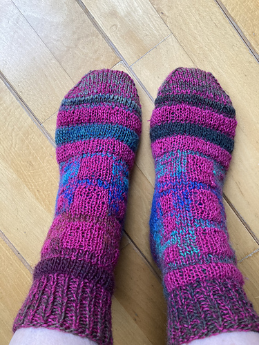 Ravelry: Erika's reversible house socks pattern by StitcheeDesign