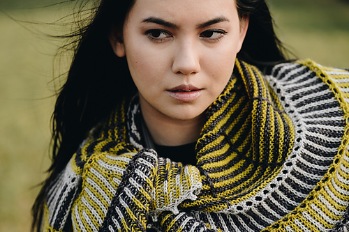 Ravelry: Ammon pattern by Julie Knits in Paris