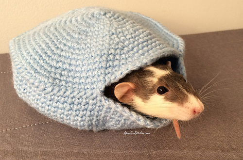 Stuff for pet rats? : r/crochet