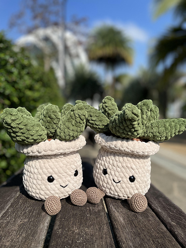 Ravelry: Pachi the Pachyveria pattern by Little Knotty Things