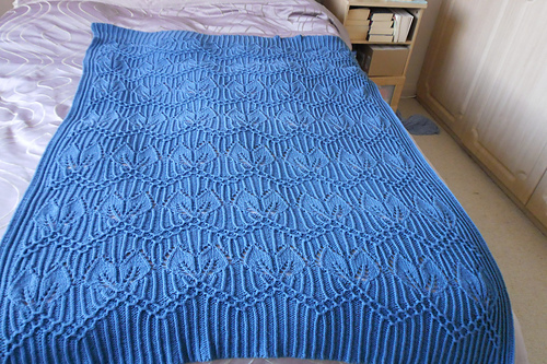 Ravelry: Arrowroot pattern by Sali Morris