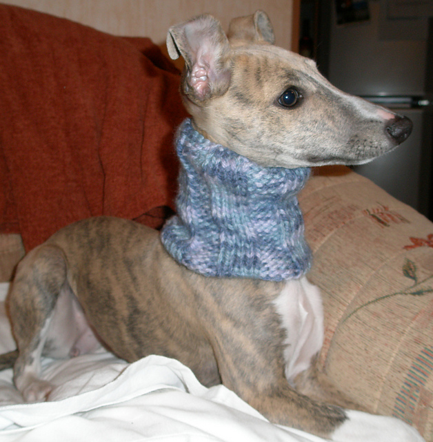 Ravelry: Neck Cowl for a Whippet pattern by Knit Wit