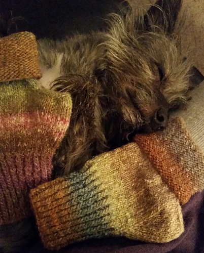 Ravelry: Downtown Fold-Down Mitts pattern by Donnie Herrington