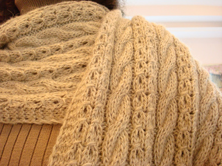 Ravelry: Lorameow's Coin Lace Shawl