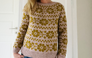 Ravelry: Louiseulf's Gammel Sandvik Genser