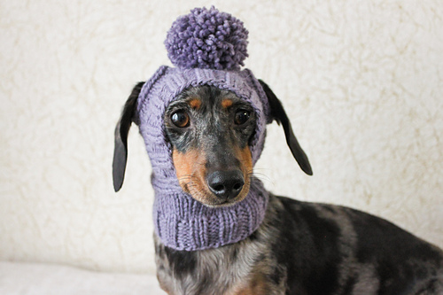 Ravelry: Small Dog Hat pattern by Valya Boutenko
