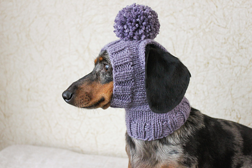 Ravelry: Small Dog Hat pattern by Valya Boutenko