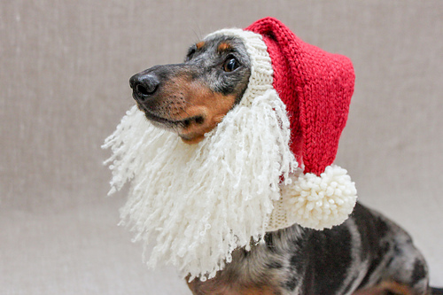 Ravelry: Santa Dog Hat With Beard pattern by Valya Boutenko