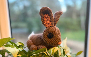 Ravelry: Wild Rabbit pattern by Lucy Kate