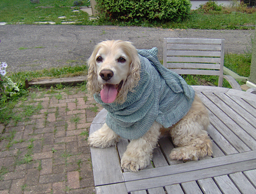 Ravelry: Duchess of Cambridge Shawl version B pattern by Sandra Oakeshott