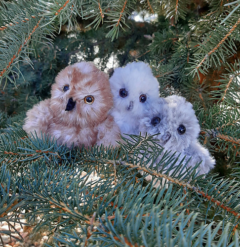 Ravelry: Owlet pattern by Amber Donegan