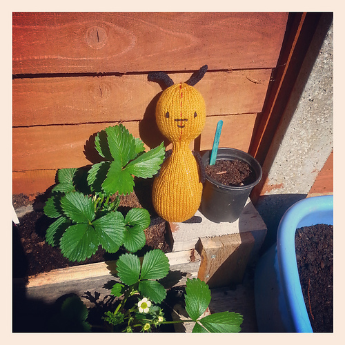 Ravelry: Knit your own Flop pattern by CBeebies / Acamar Films Ltd