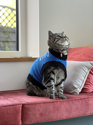 Ravelry: Rimo Coat pattern by Marianne Henio