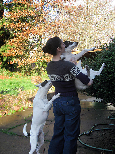 Ravelry: Astoria pattern by Marnie MacLean