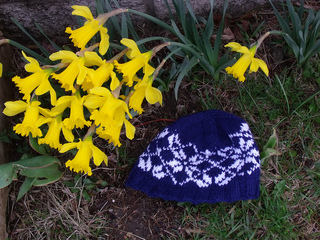 Ravelry: MartyCare's Norwegian Hat from Sock Pattern