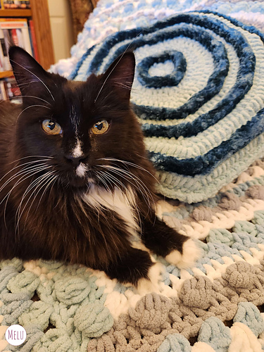 Ravelry: Heart Fluff Pillow pattern by Melanie Poulter