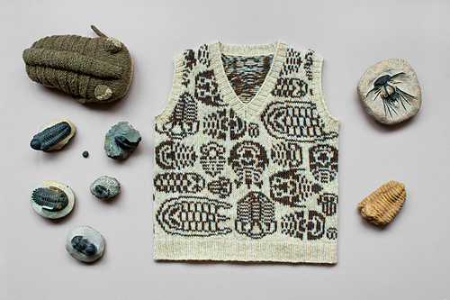 Ravelry: MimiCodd's Trilobite Tank