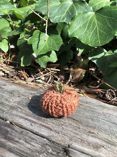 Ravelry: Wee Pumpkin pattern by Carol E. Herman