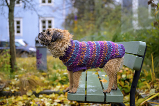 Ravelry: Beeda Dog Sweater pattern by Hanna-Mari Puuska