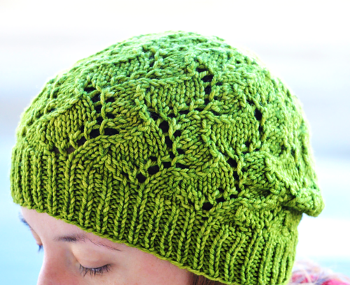 Ravelry: Olympic National Park Beanie pattern by Nancy Bates