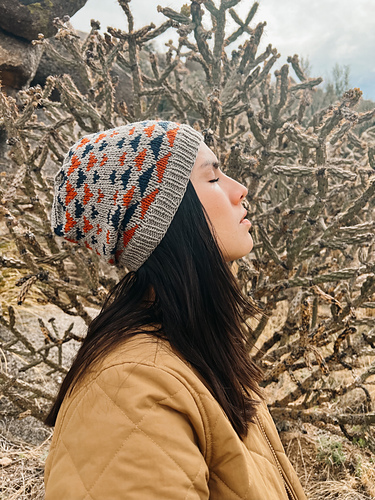 Ravelry: The In law Chaser Hat pattern by Jennifer Berg