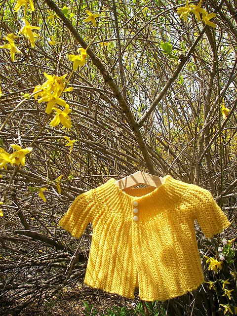 Ravelry: Sunbeam pattern by Nettle Knits