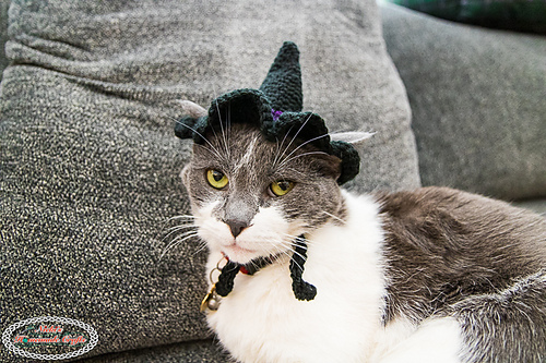 Ravelry: Cat's Witch Hat pattern by Nicole Riley