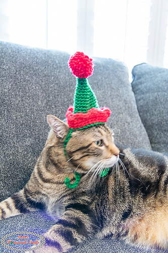 Ravelry: Cat's Elf Hat pattern by Nicole Riley