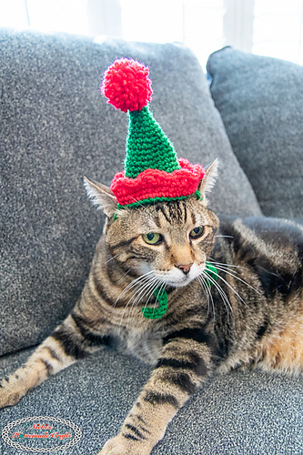 Ravelry: Cat's Elf Hat pattern by Nicole Riley