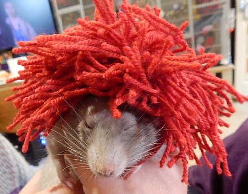 Ravelry: Cat's Mane pattern by Mer Almagro