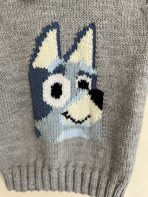 Ravelry: Bluey Toddler Jumper pattern by Not Just Nana’s Knit
