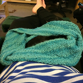 Ravelry: NoteableNeedle's Butterfly Mobius