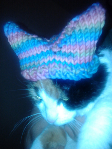 Ravelry: Toasty Ears for Angry Cats pattern by Ixetal Cilona
