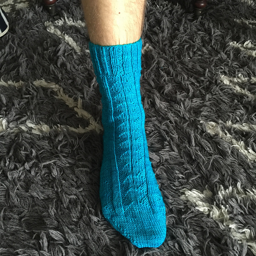 Ravelry: Thorny Stems Sock pattern by Karoline Withington