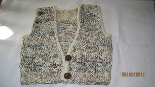 Ravelry: Padittle's Bulky vest with Noro