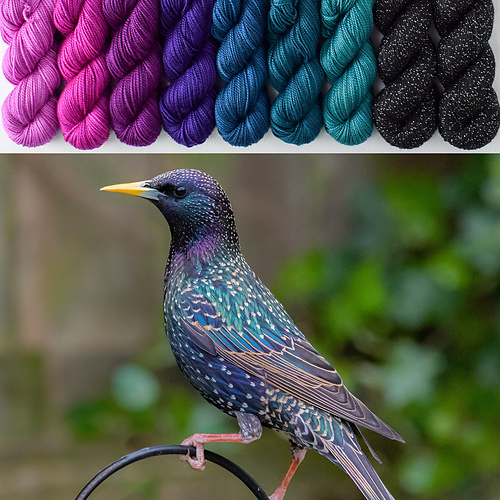 Ravelry: Wings of Wonder pattern by Lisa K. Ross