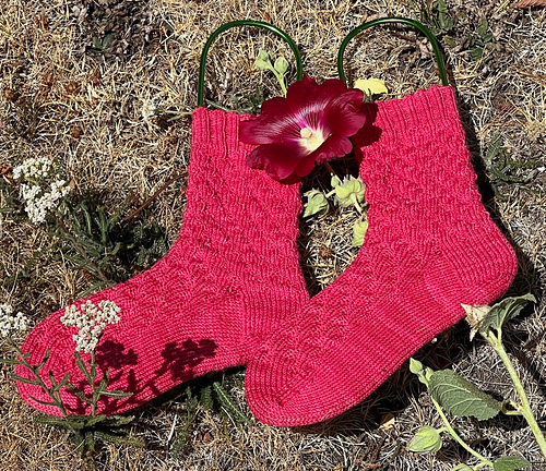 Ravelry: Holly Hock Socks pattern by Peak District Yarns