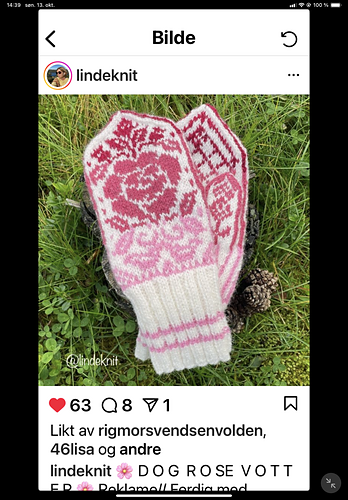 Ravelry: Dog Rose Votter pattern by Eva Skulbru Eriksen