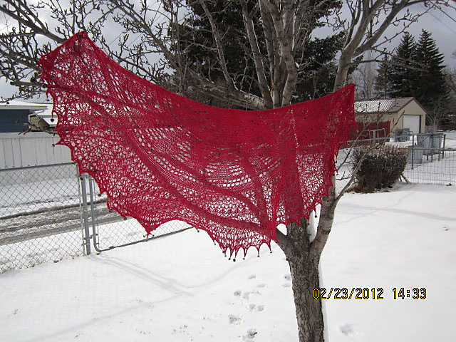 Ravelry: PiggyWiggy96's Red Robin Shawl