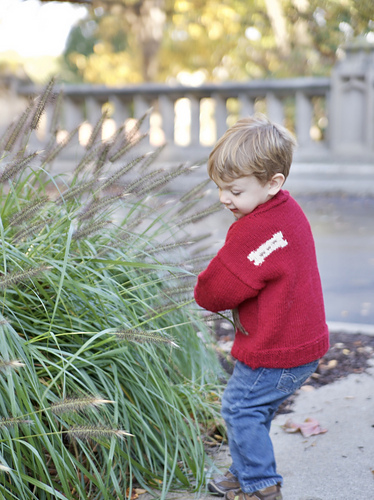Ravelry: P577 Dog & Bone Sweater pattern by Plymouth Yarn Design Studio