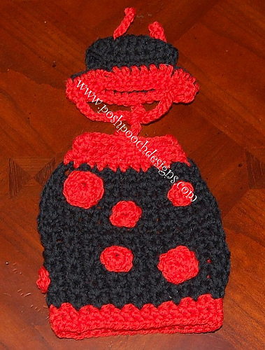 Ravelry: Lady bug - Dog Sweater and Hat Set pattern by Sara Sach