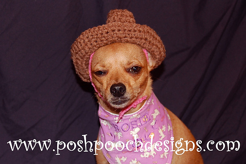 Ravelry: Dog Cowboy Hat pattern by Sara Sach